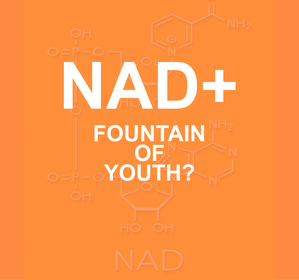 NAD+: Reprogramming the Aging Process - Personal Trainer Today