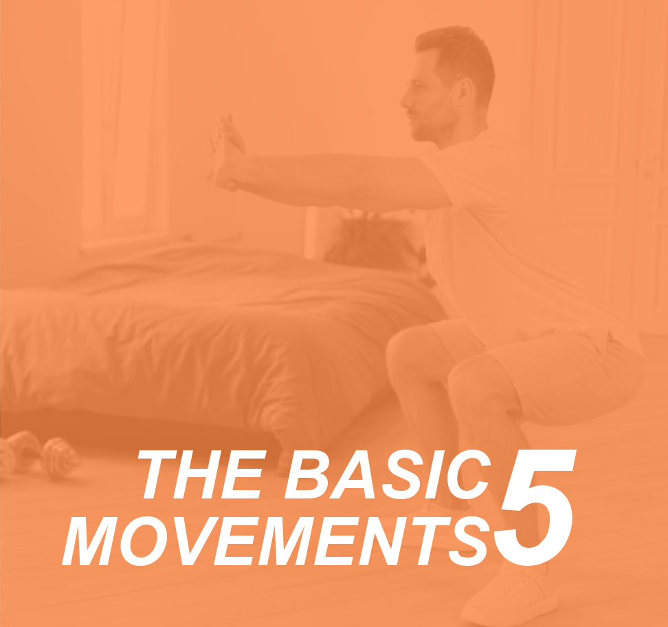 5 Basic Movements for Fitness Clients - Personal Trainer Today