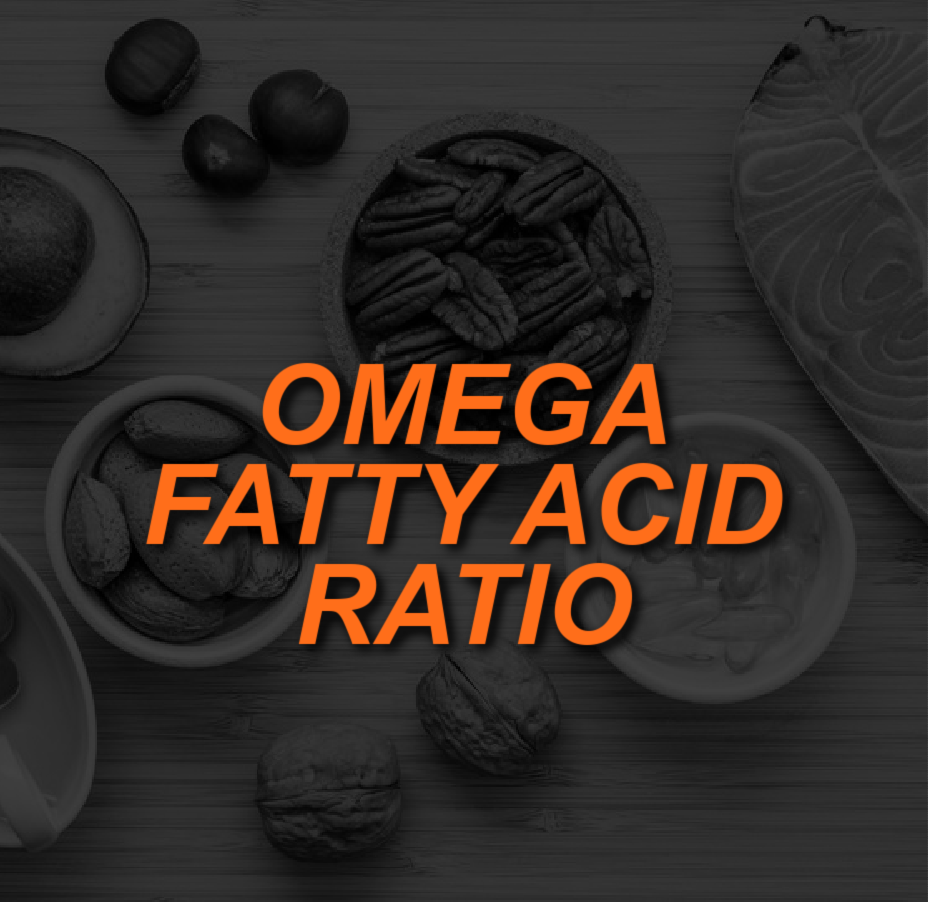 Balancing the Omega Fatty Acid Ratio in the Standard American Diet ...