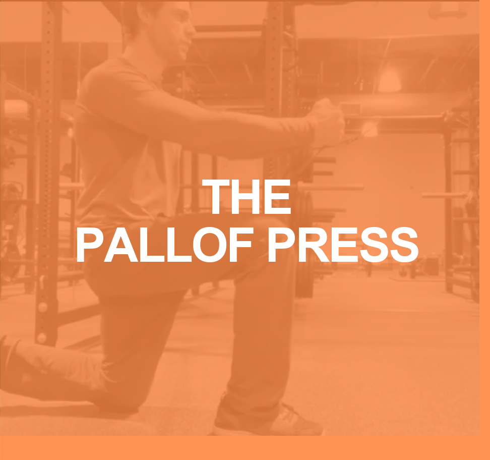 How to Do the Pallof Press - Personal Trainer Today