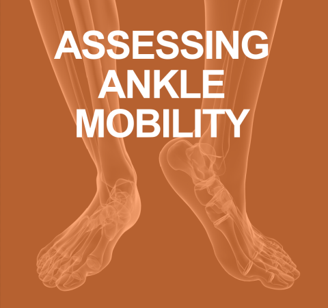 Assessing Ankle Mobility - Personal Trainer Today