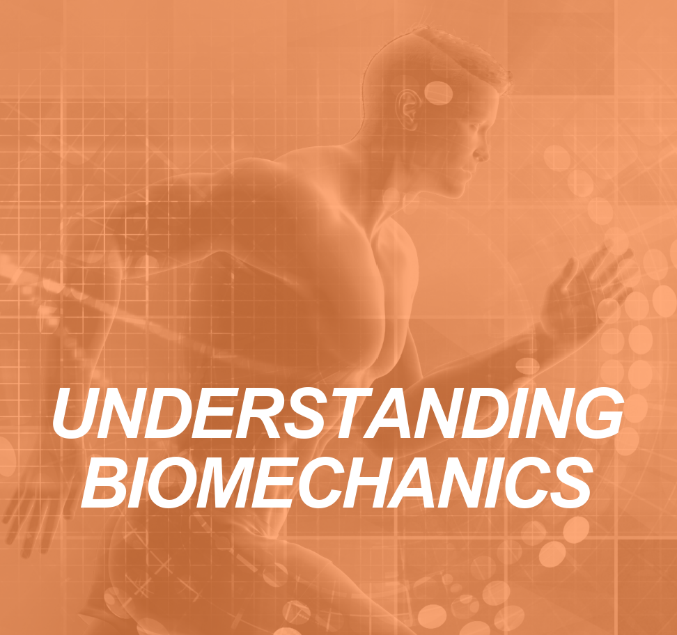 Biomechanics: The Science of Human Movement - Personal Trainer Today